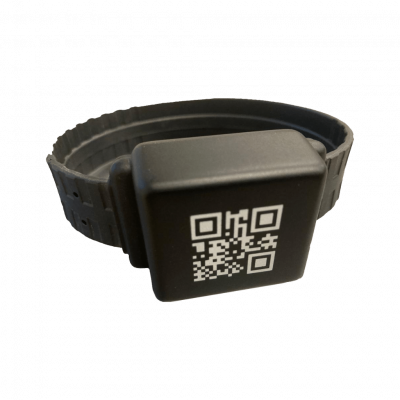 Electronic Tagging - iWOW